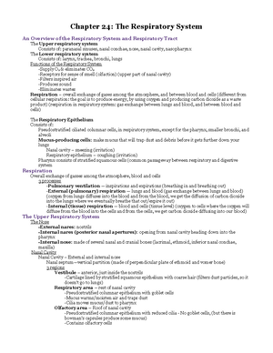 Chapter 26 - Urinary System outline - Chapter 26: The Urinary System ...