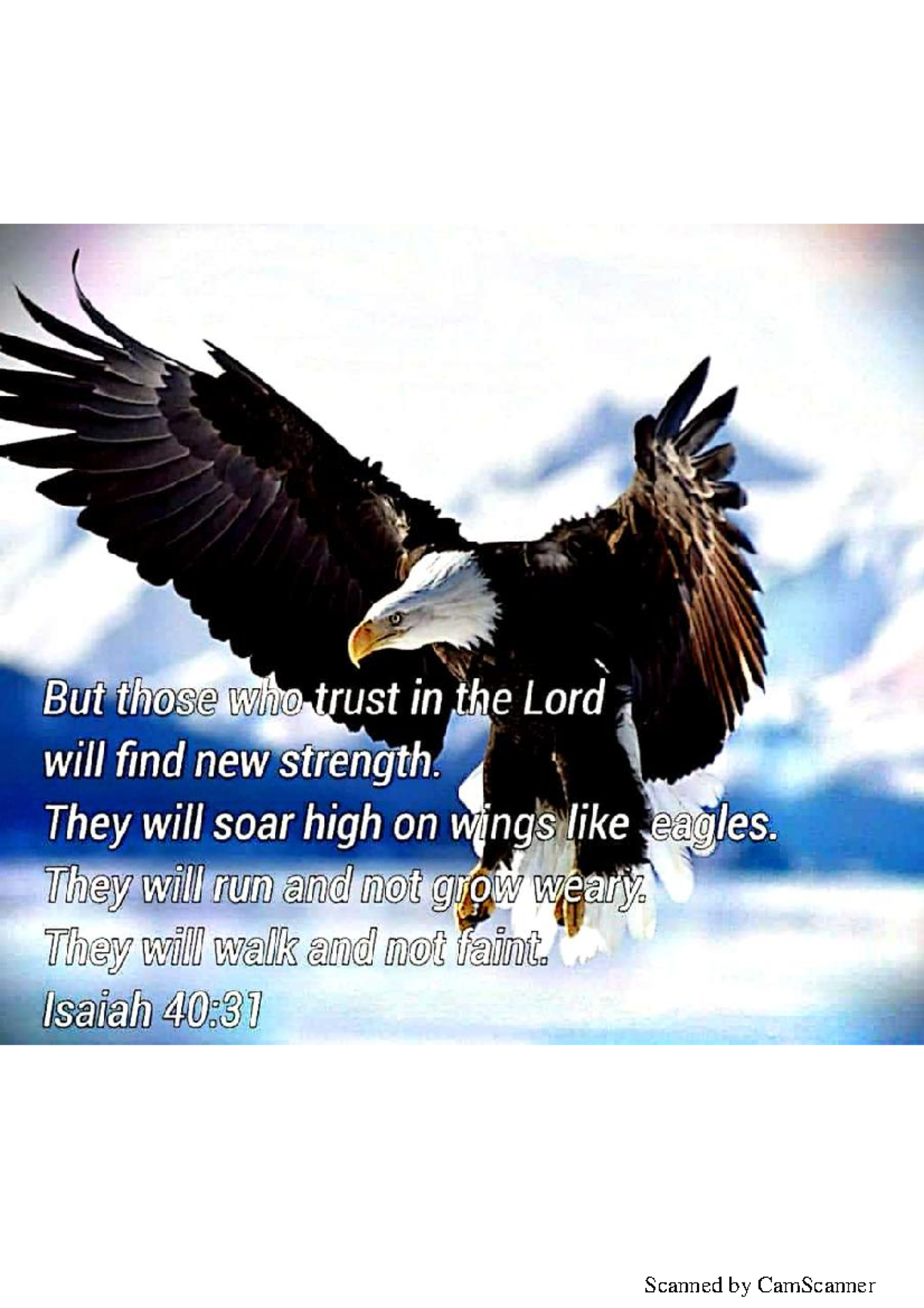 Pdfcoffee - ..... - Business Administration 2 - Studocu