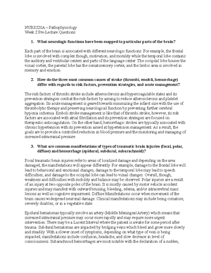 Sample Lit Review from 2021 - Review of the Literature An exploration ...