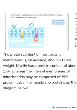 Chemistry 7 - Electrophilic addition reaction, Elimination reaction ...
