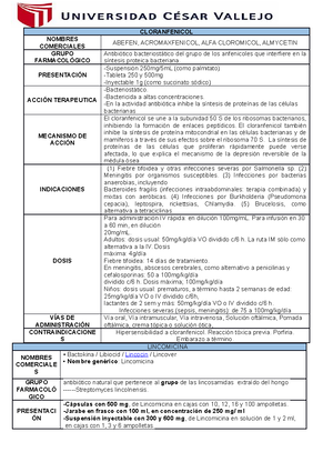 GUIA DE Practica Farmacología 2023 - PROGRAMA ACAD.. DE MEDICINA GUÕA DE PR¡CTICA FACULTAD DE ...