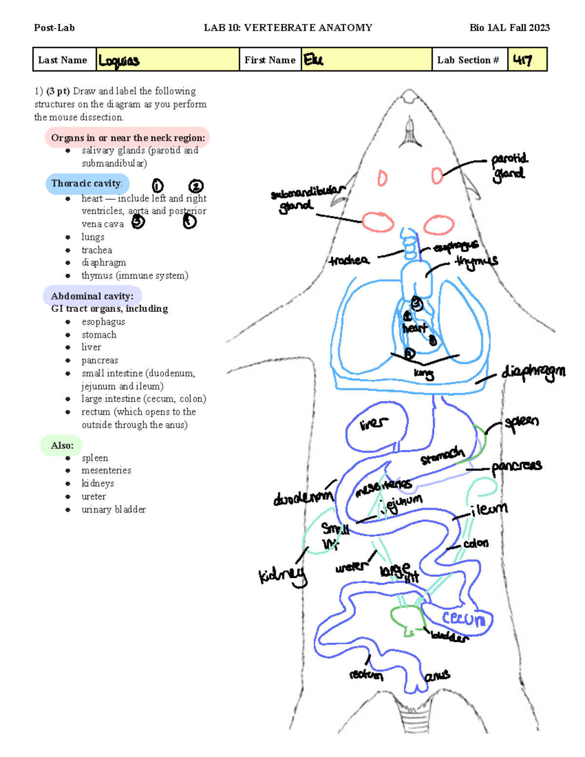 Lab 10 - Vertebrate Anatomy Post-lab Fa23 - Last Name First Name Lab ...