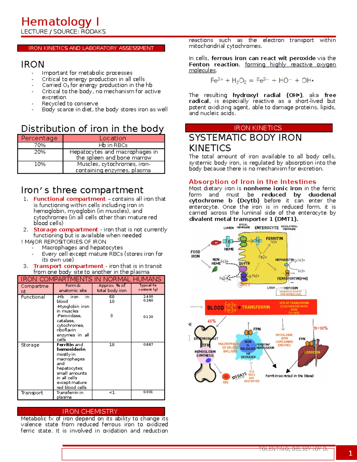 HEMA Iron Kinetics Transes - TOLENTINO, DELSEY JOY D. LECTURE / SOURCE ...