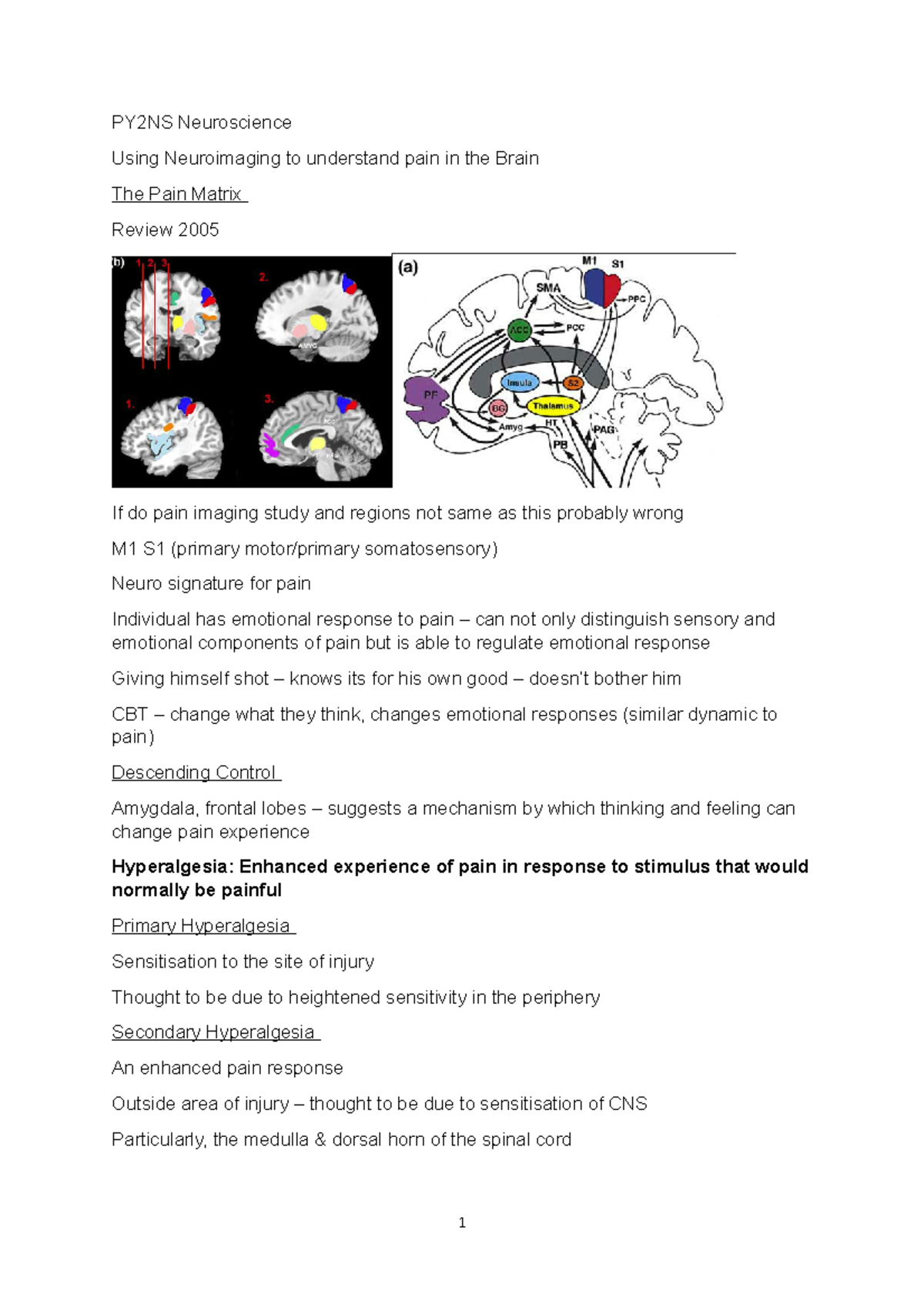 Lecture 8 Pain - PY2NS Neuroscience Using Neuroimaging to understand ...