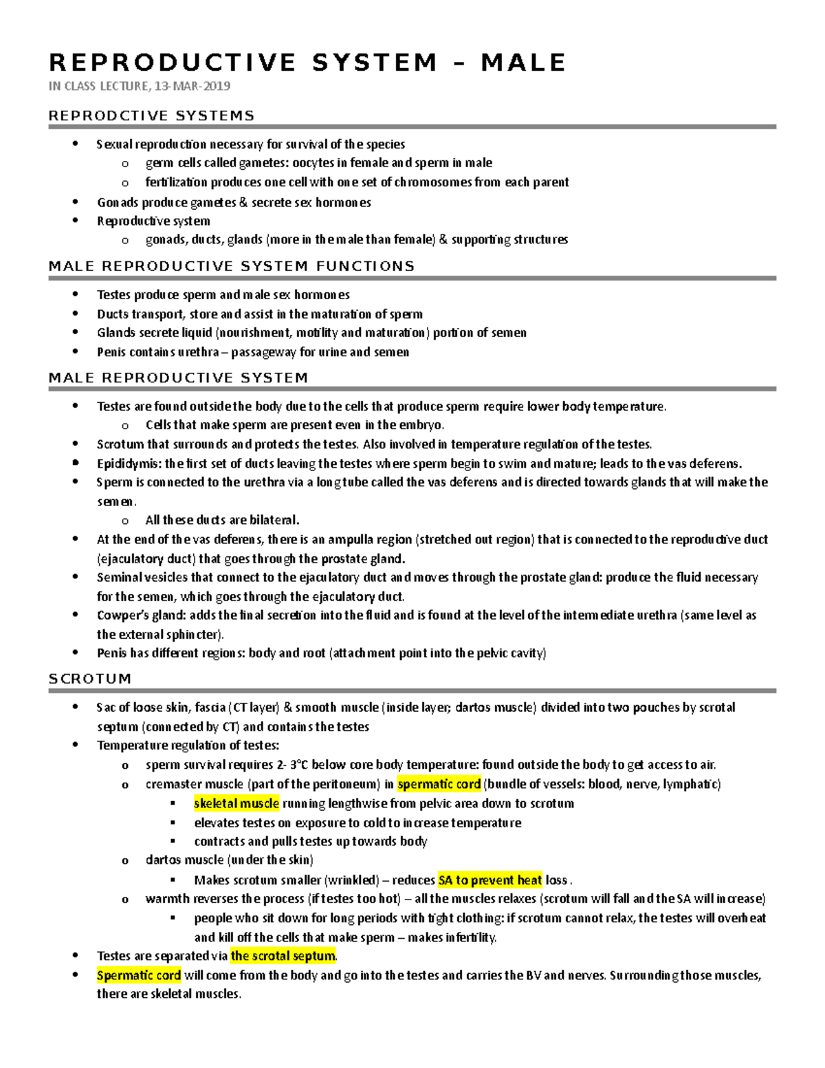 Unit 9 Male Reproductive system Anatomy and Physiology - REPRODUCTIVE ...