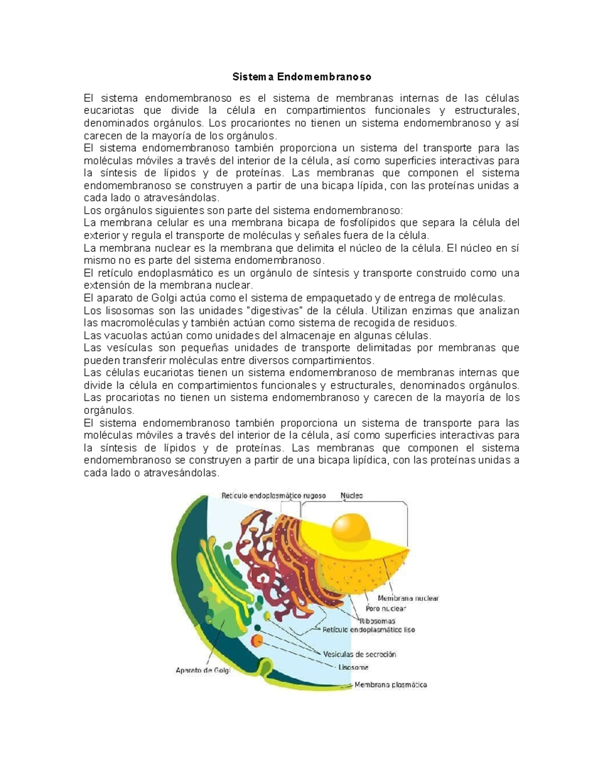 Resumenes Dr. Hugo - Habla sobre el sistema endomembranoso, trafico intracelular de proteinas de ...