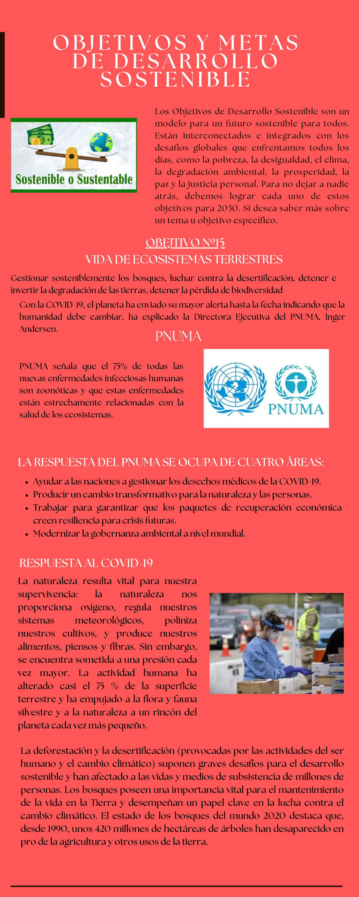 Semana 14 - Tema 1 Tarea - Infografía Los 17 ODS - OBEJTIVO Nº VIDA DE ...