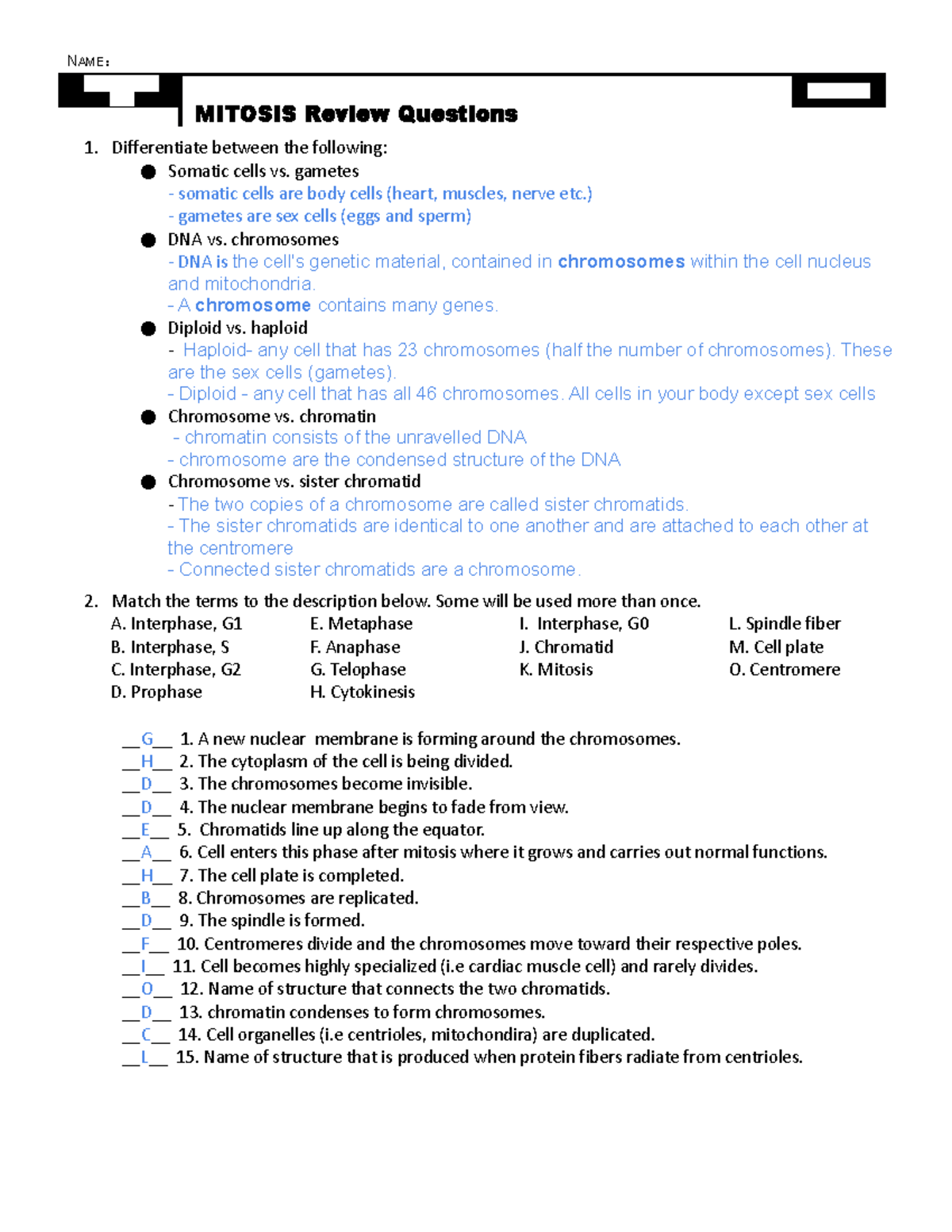 Mitosis Review Answers - NAME: CHAPTER 4. MITOSIS Review Questions SBI ...