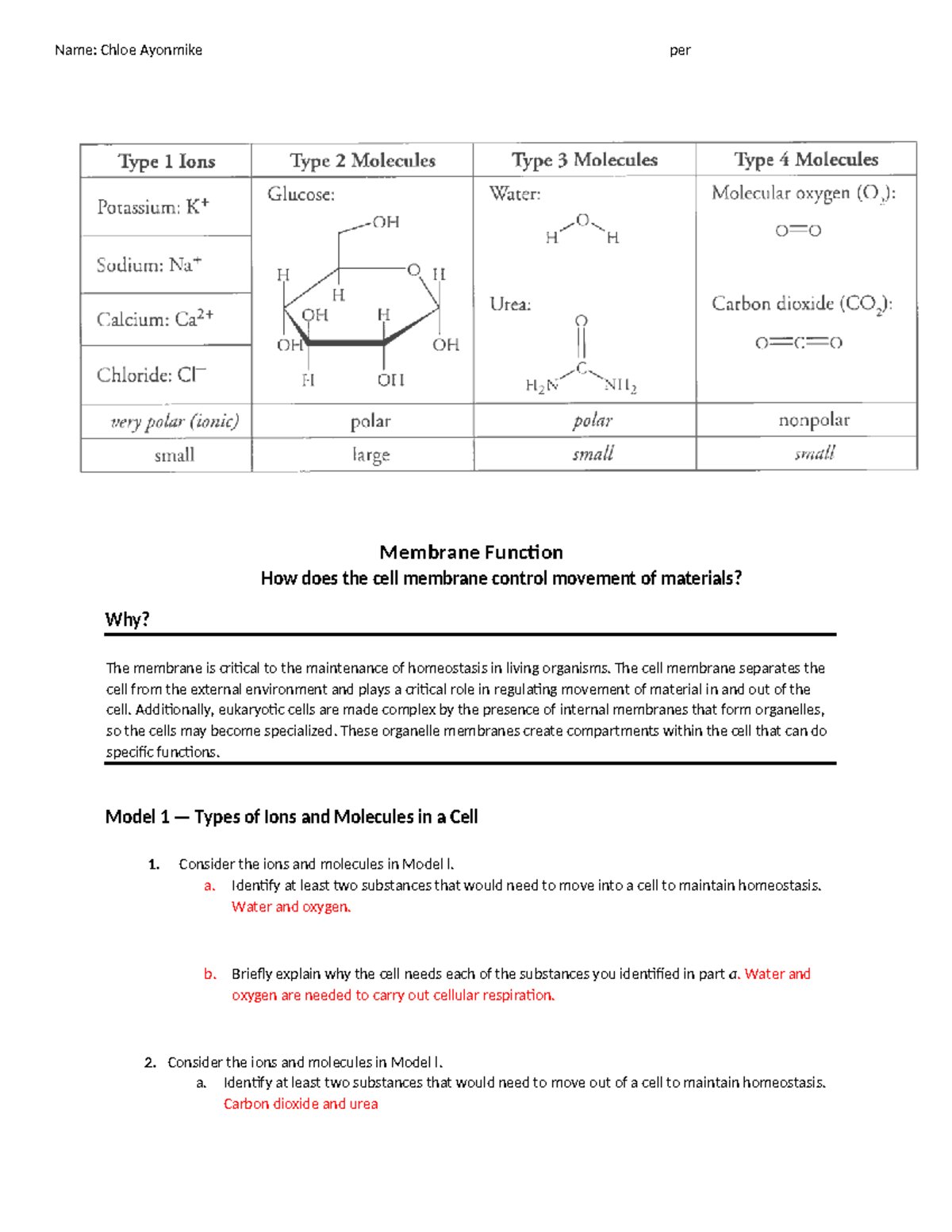 Pogil Membrane Function OLA - Name: Chloe Ayonmike per Membrane ...