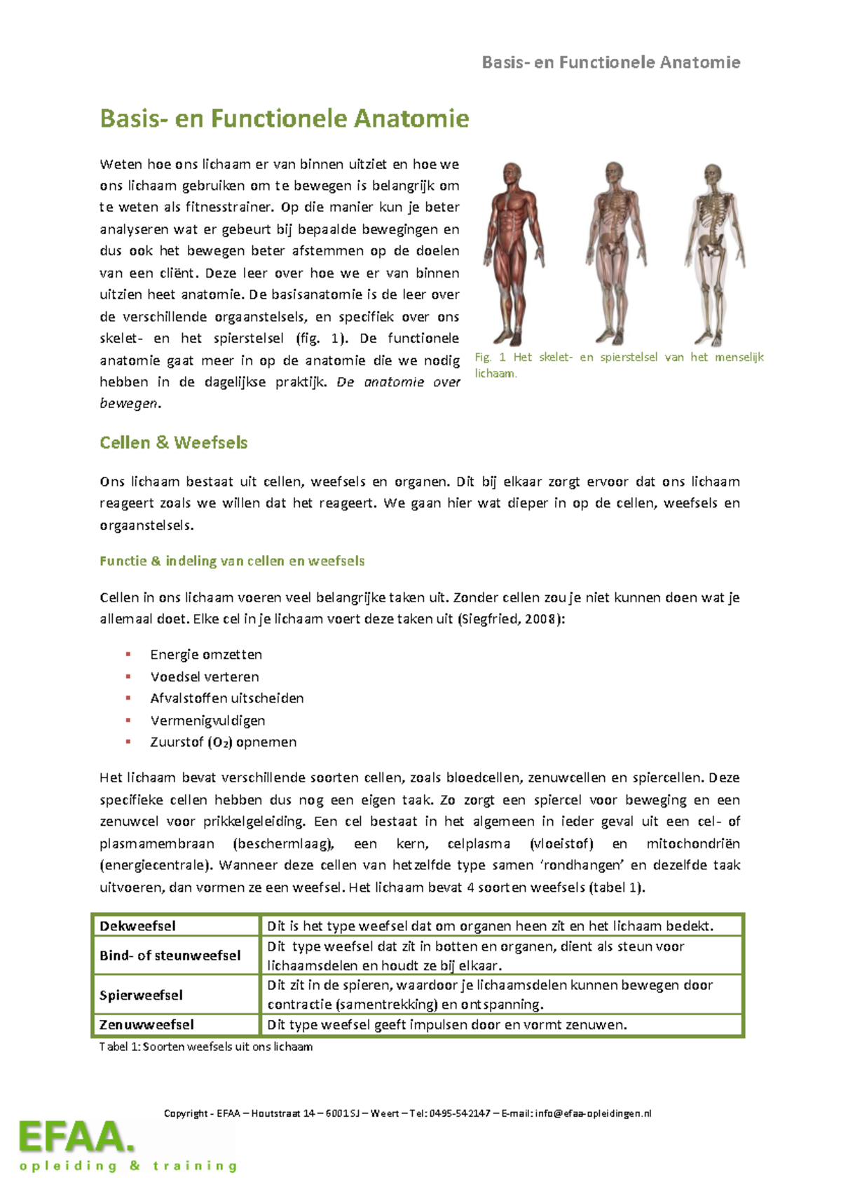 Basis en functionele anatomie - Basis- en Functionele Anatomie Weten ...