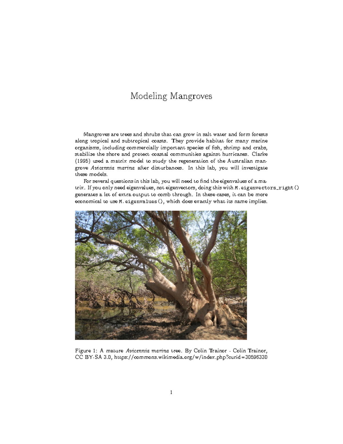 Lab 8 - Modeling Mangroves (short) - Modeling Mangroves Mangroves are ...