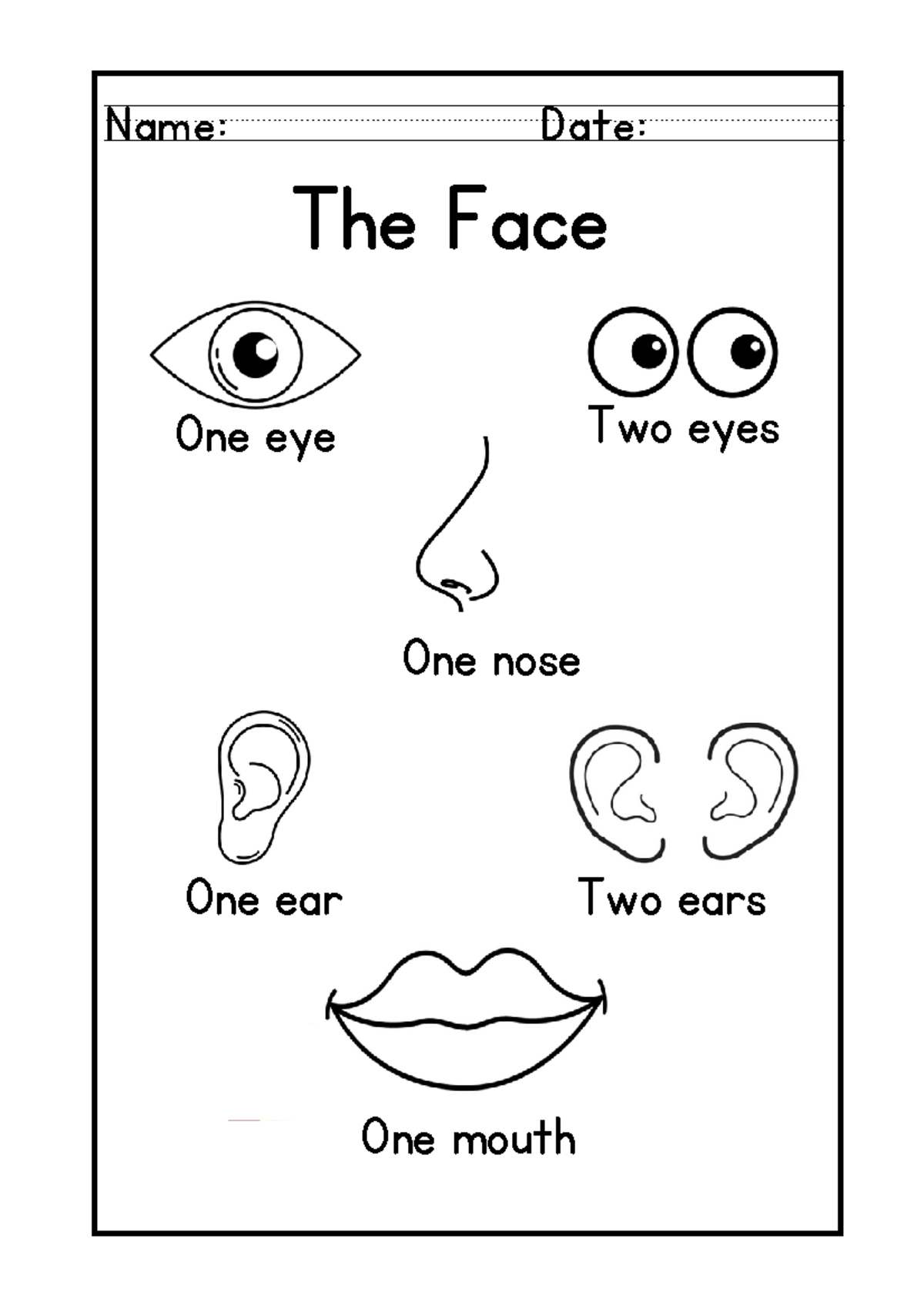 The Face - Partes de la cara - Inglés - Name: Date: The Face One ear ...