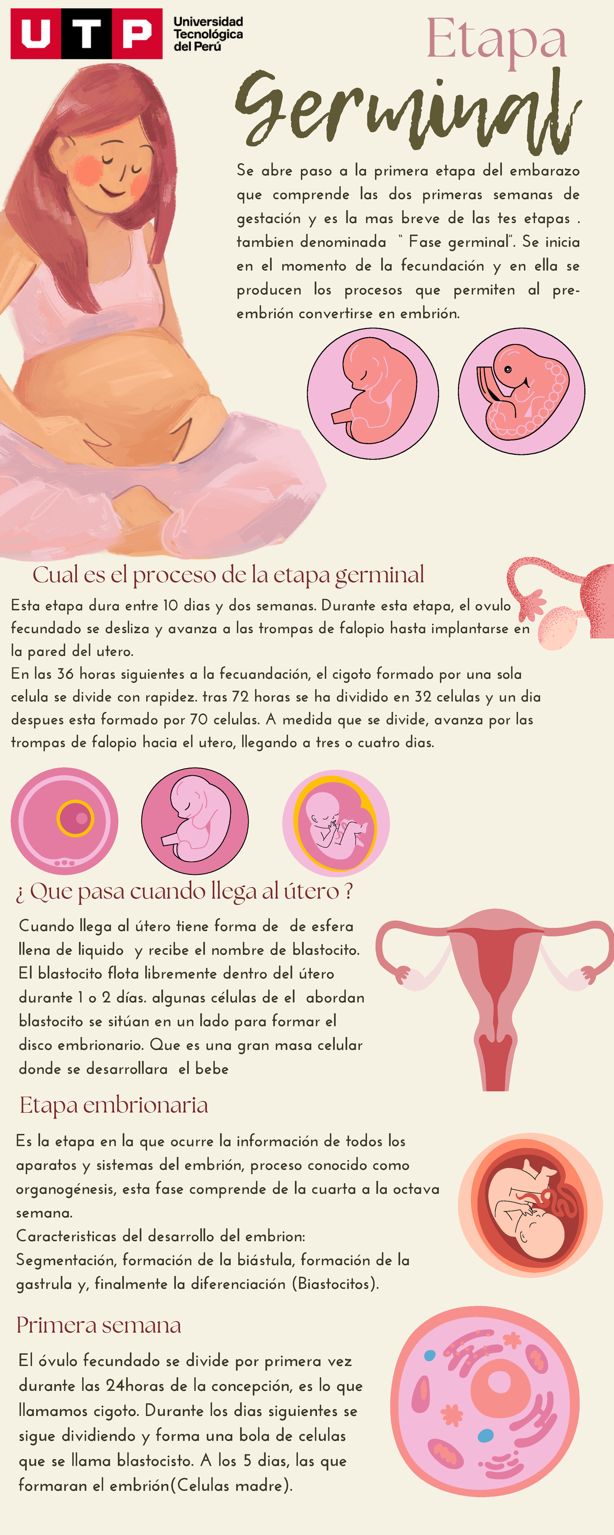 Infografía signos de embarazo ilustrado elegante sencillo rosa crema ...