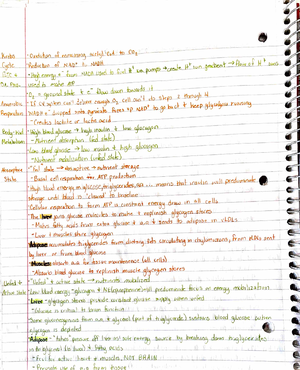 Ap 1 - James haugen - BIO 246 - Studocu