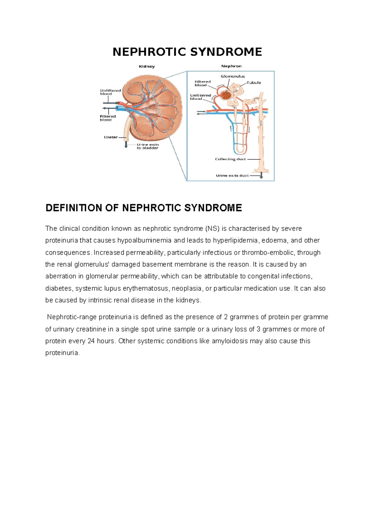 Nephrotic Syndrome - NEPHROTIC SYNDROME DEFINITION OF NEPHROTIC ...