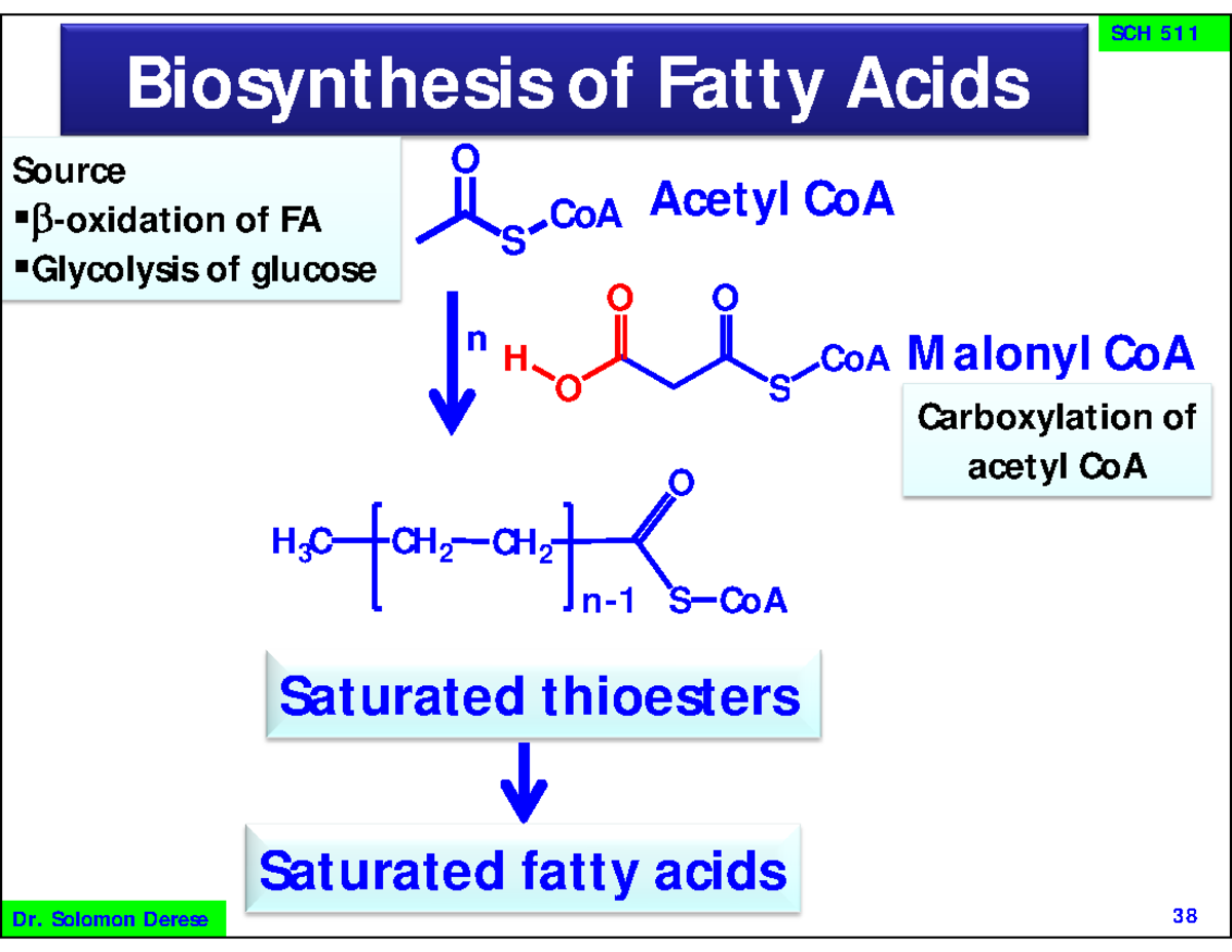 Sch 511-secondary metabolites derived from acetate-biosynthesis of ...