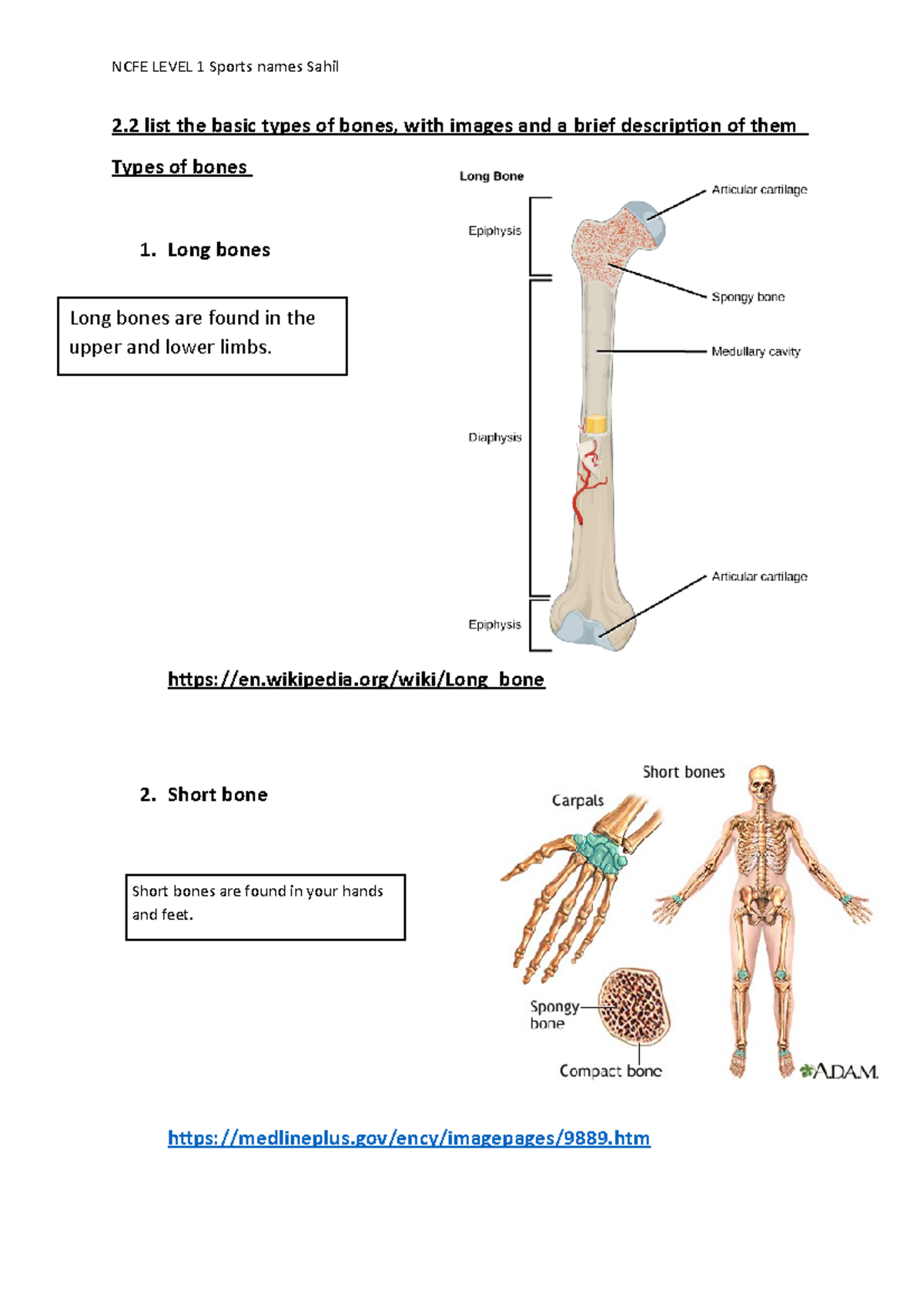 Types of bones - NCFE LEVEL 1 Sports names Sahil 2 list the basic types ...