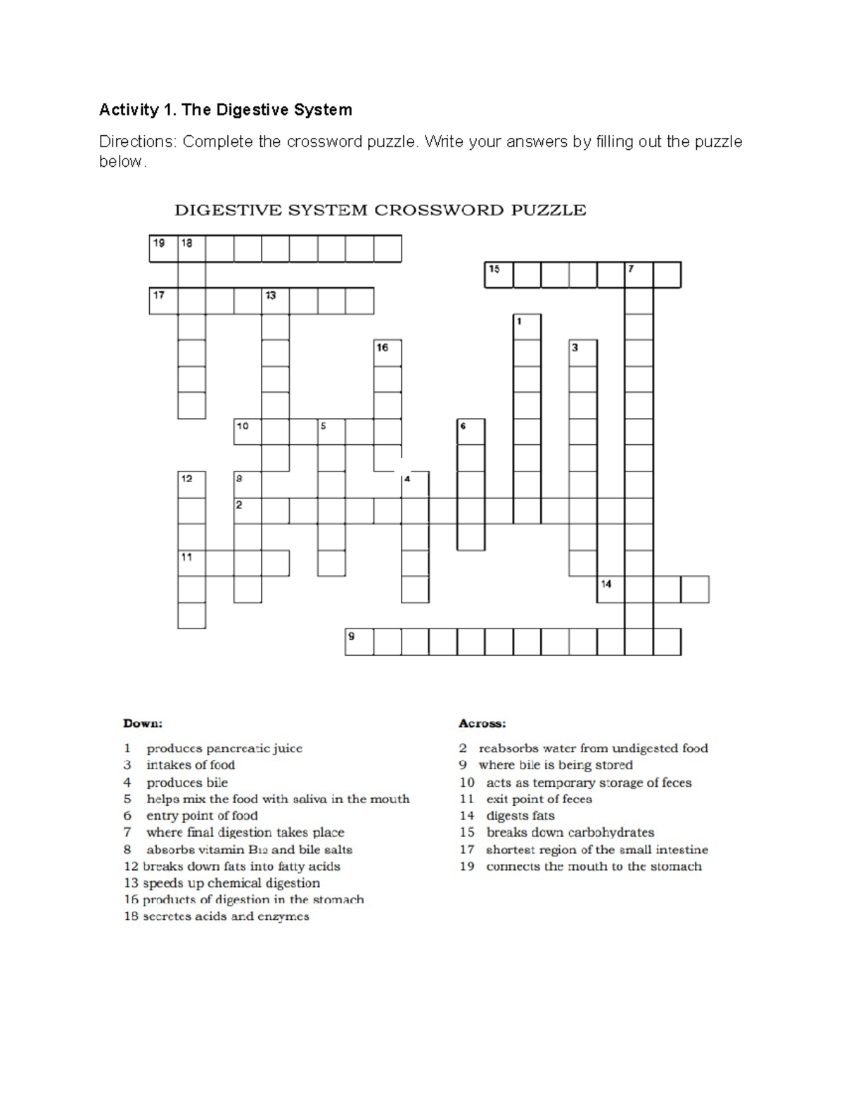 Activities for Grade 8 - notes - Activity 1. The Digestive System ...