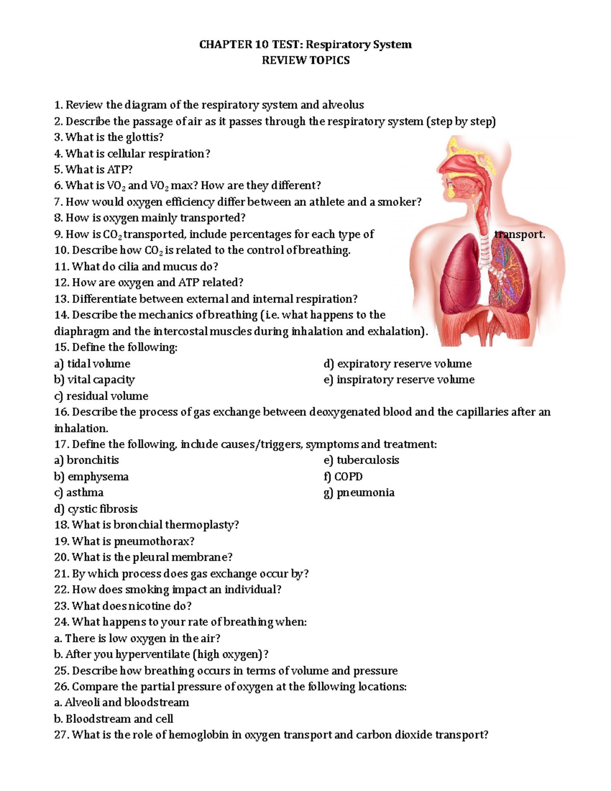 Respiration Test Review - CHAPTER 10 TEST: Respiratory System REVIEW ...