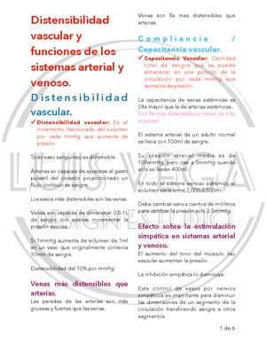 Músculos del Abdomen - Abdomen Músculo Origen Inserción Inervación ...