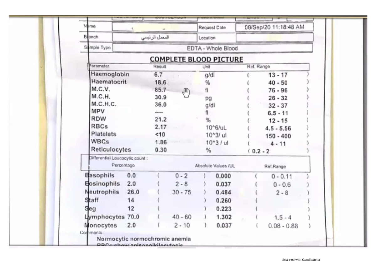 CBC - anatomy - Studocu