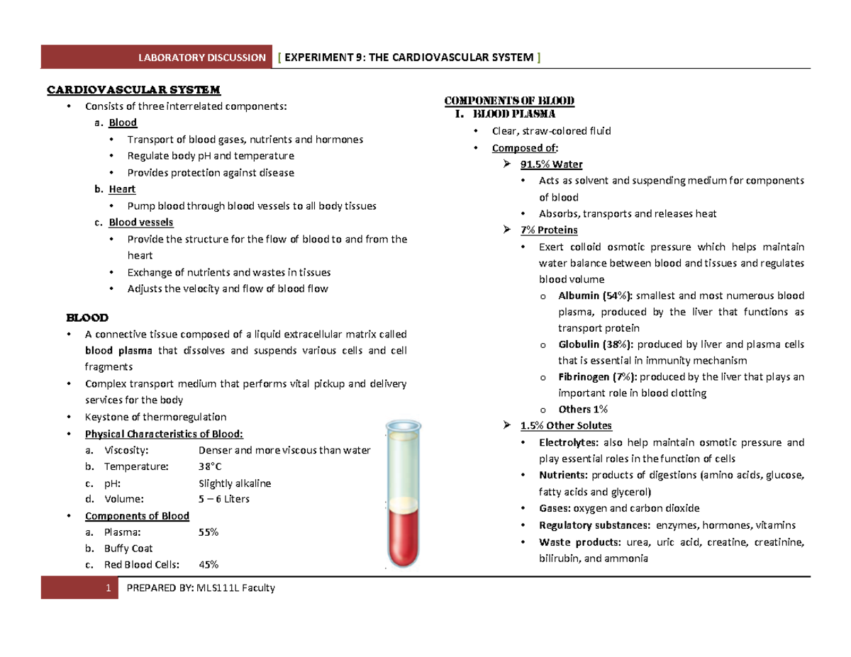 Activity 9 The Cardiovascular System - CARDIOVASCULAR SYSTEM Consists ...