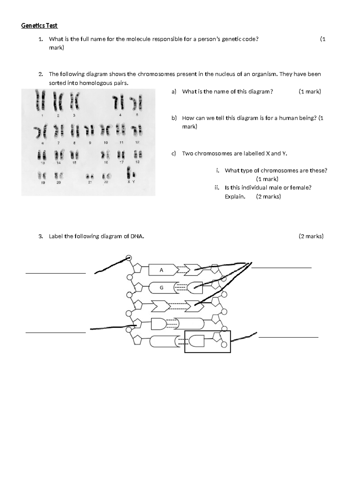 Genetics Test 2024 - Genetics Test 1. What is the full name for the ...