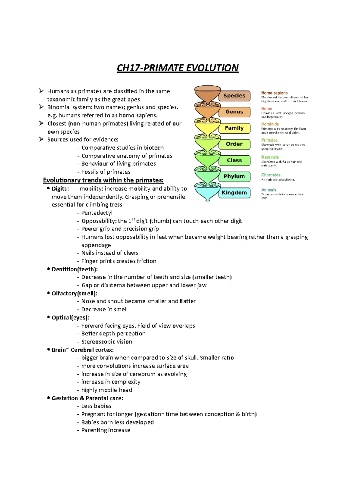 CH17- Primate Evolution - CH17-PRIMATE EVOLUTION Humans as primates are ...