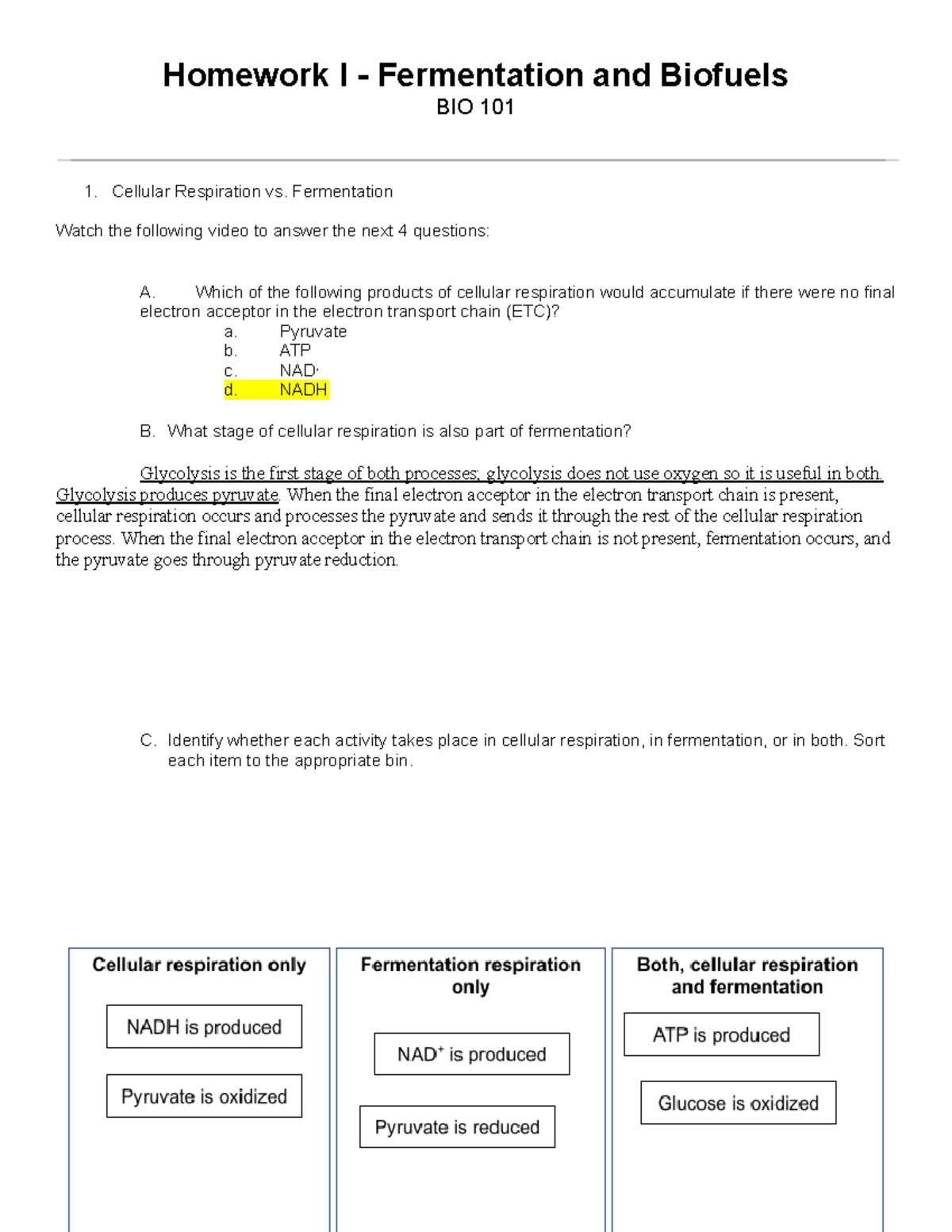 Homework I - Bio 101 - Homework I - Fermentation and Biofuels BIO 101 ...