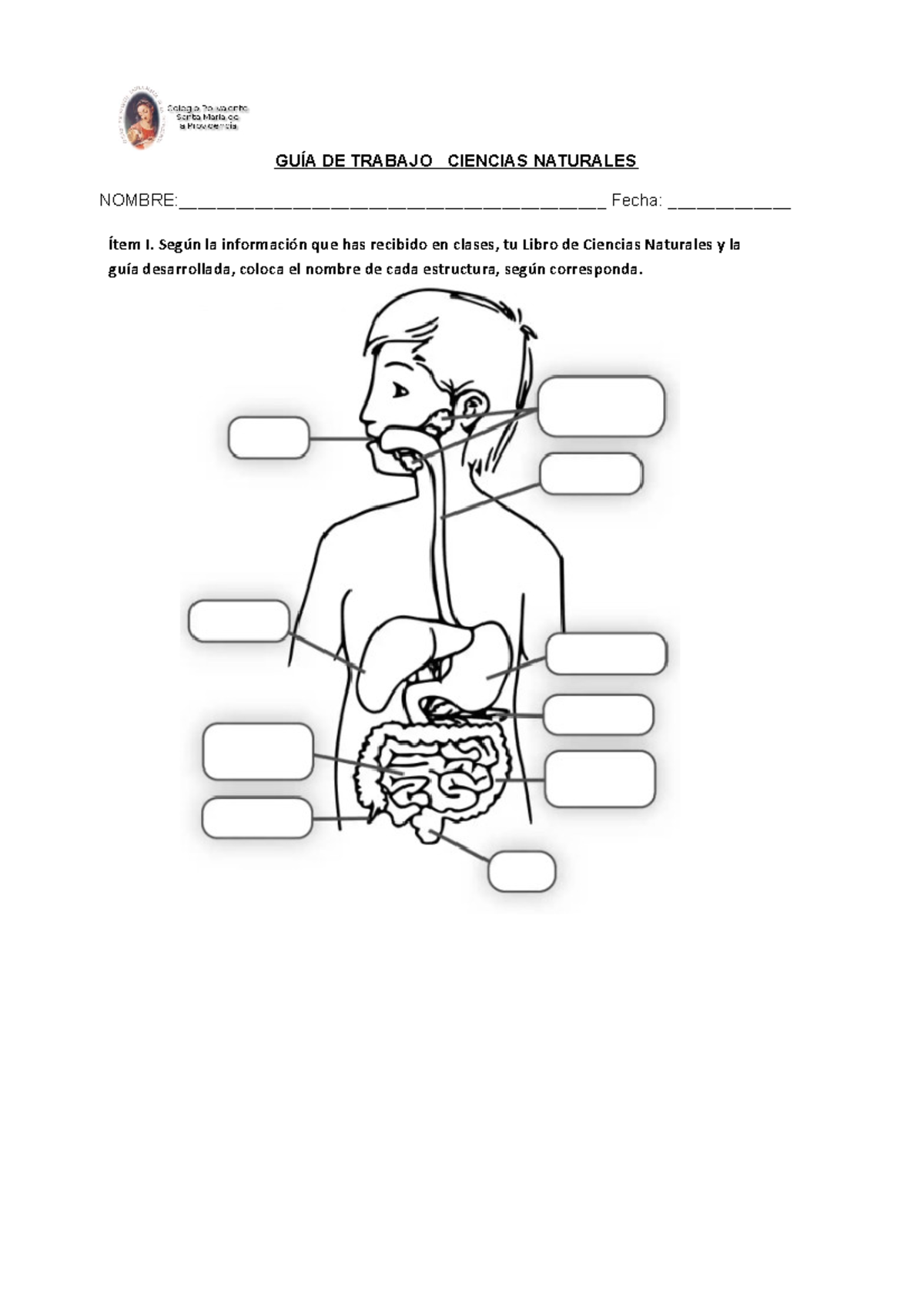 5° Ciencias Naturales Sistema Digestivo - GUÍA DE TRABAJO CIENCIAS ...