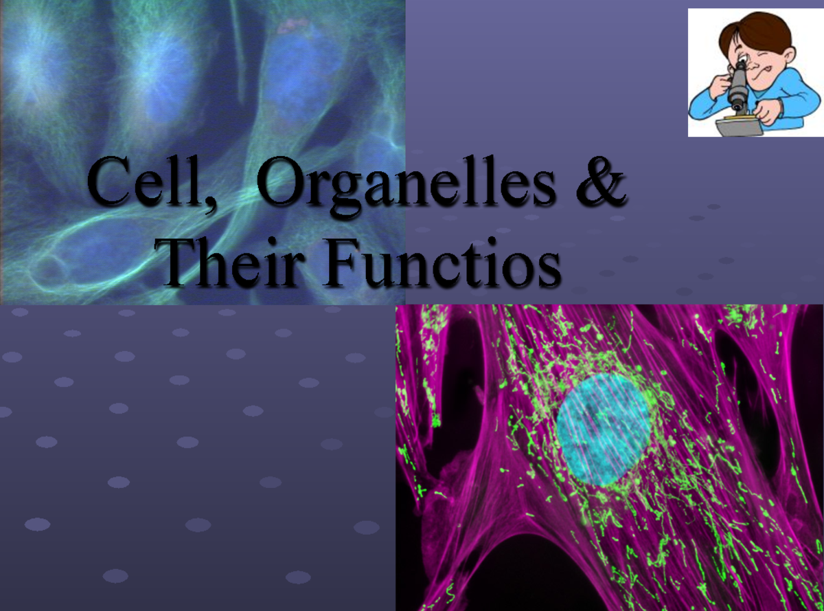 PPT The Cell Organelles their Functions - Cell, Organelles & Their ...