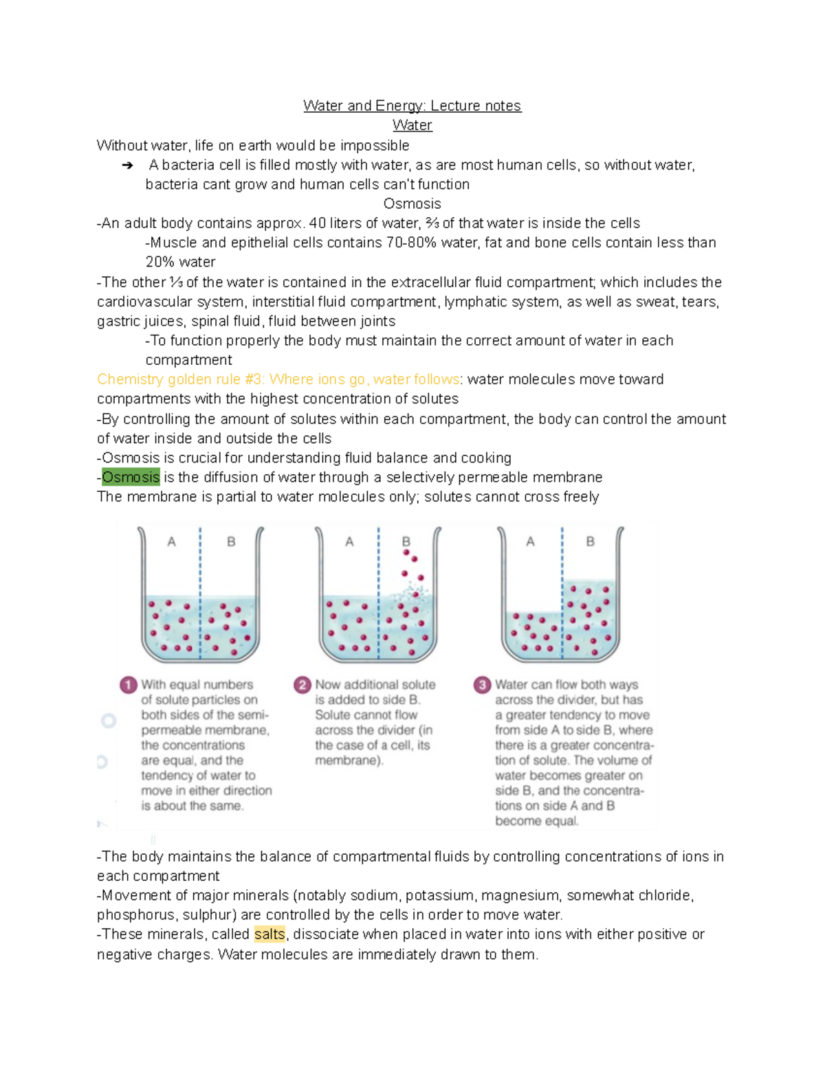 BIOL203 L9 Lecture Water - Water and Energy: Lecture notes Water ...