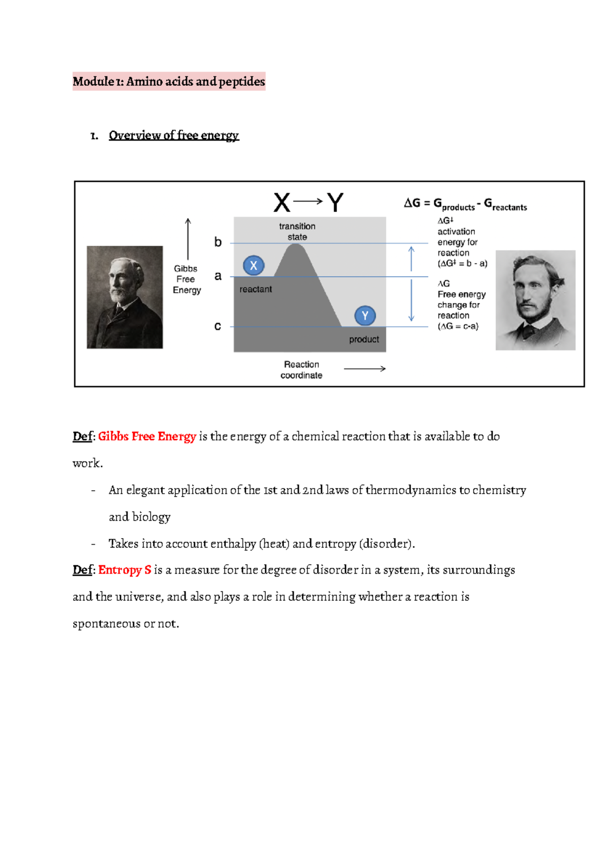 BCMB2000 2 - Module 1: Amino acids and peptides 1. Overview of free ...