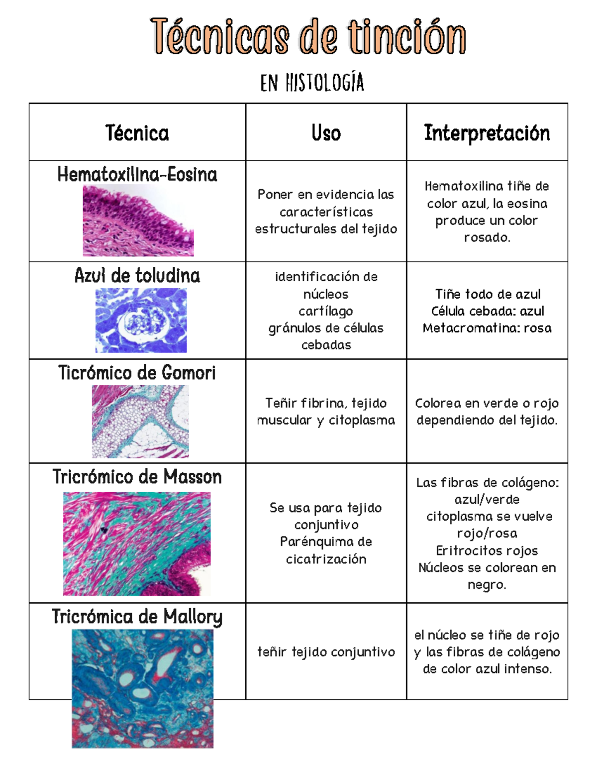 Tinciones para bacterias Microbiología, Hematología, Bioquímica