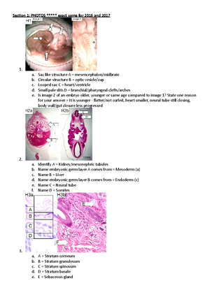 Embryology Notes - Embryo - 2013 Veterinary Developmental Anatomy ...