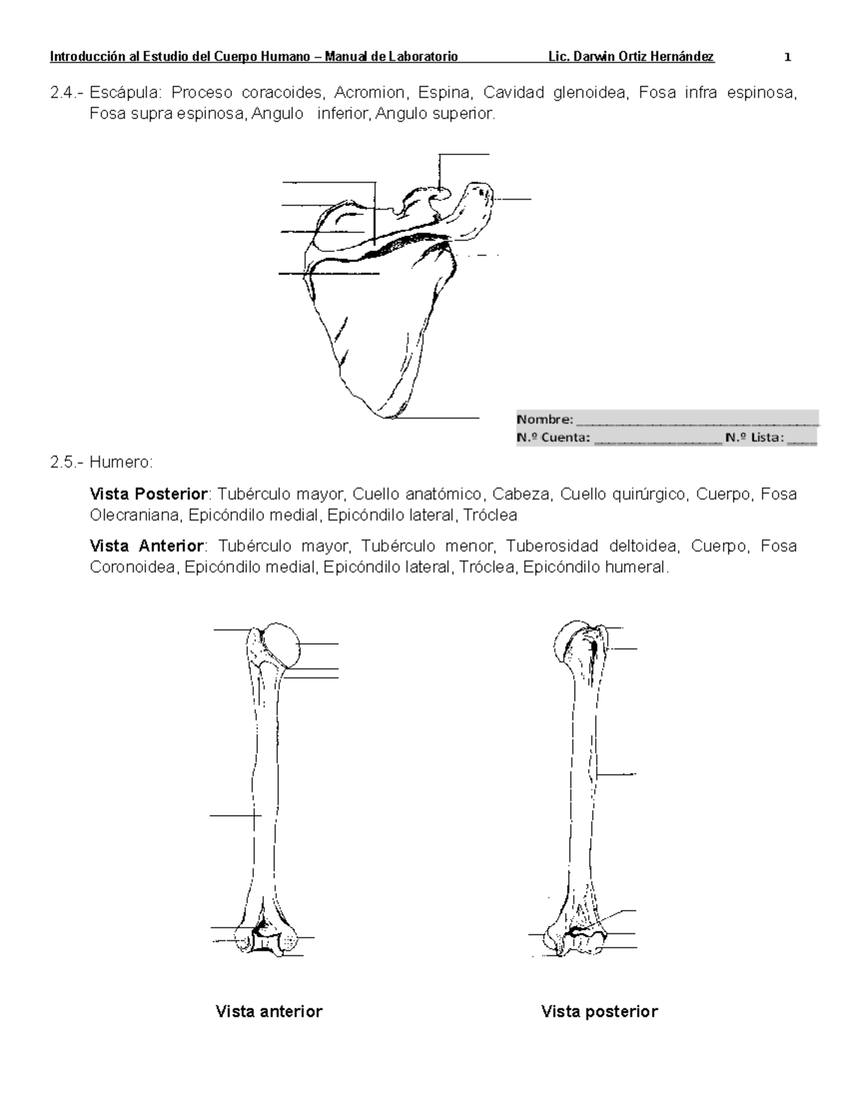 Complemento del Manual - 2.- Escápula: Proceso coracoides, Acromion ...