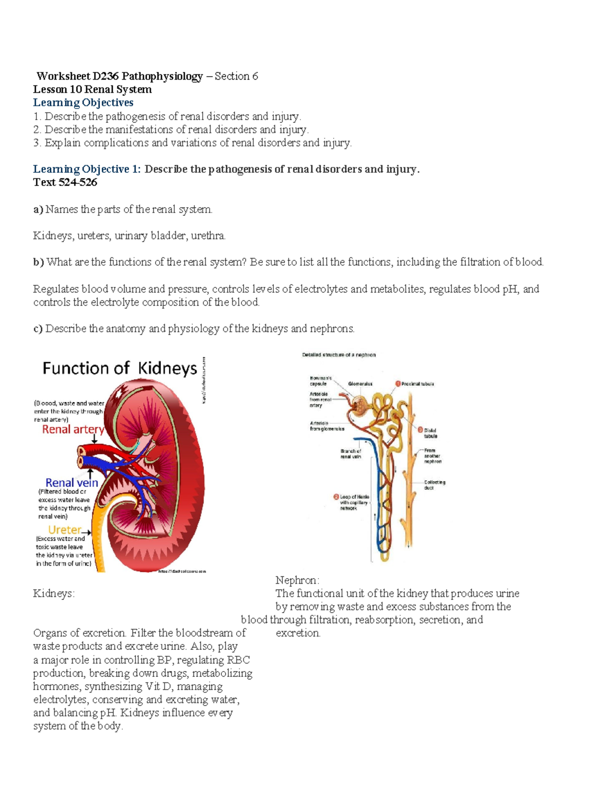 Renal worksheet and study guide - Worksheet D236 Pathophysiology – Section 6 Lesson 10 Renal ...