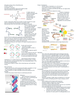 Mol Bio Unit 2 - cheat sheet materials for Exam 2 / includes pre class ...