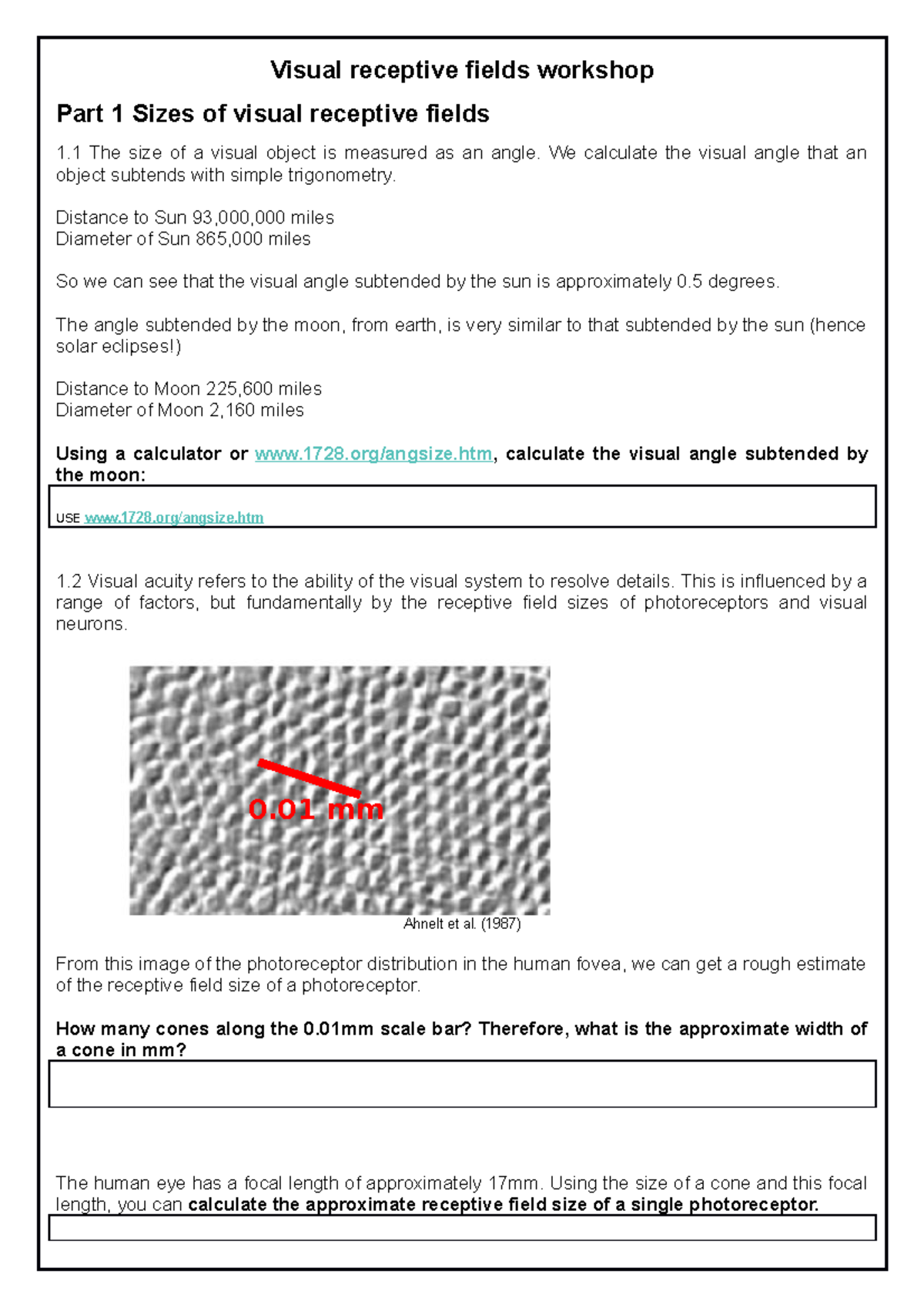 Receptive Fields Worksheet 2023-1 - Visual receptive fields workshop ...