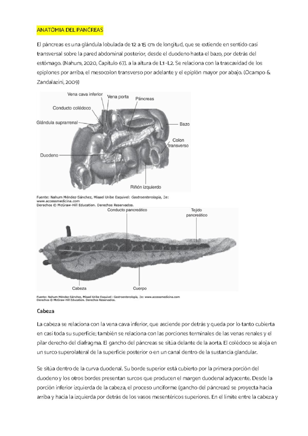 Pancreatitis - RESUMEN - ANATOMIA DEL PANCREAS El páncreas es una ...