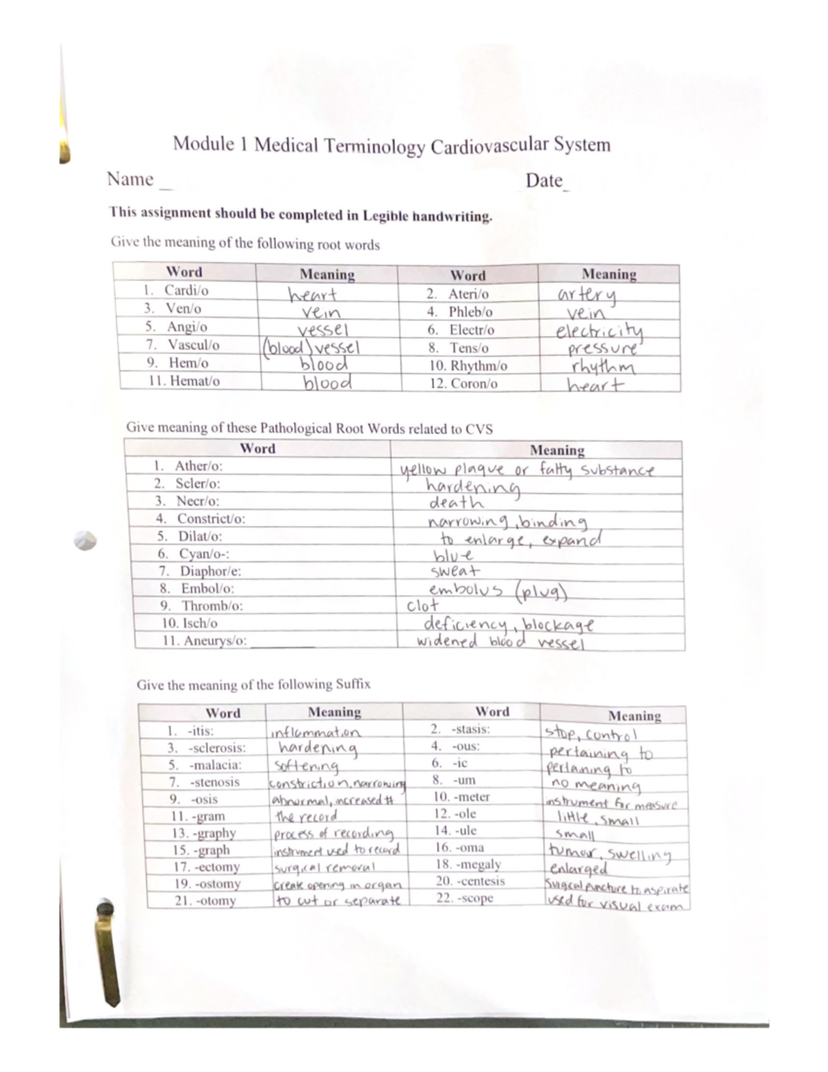 Module 1 Medical Terminology - Bio 201 - Studocu