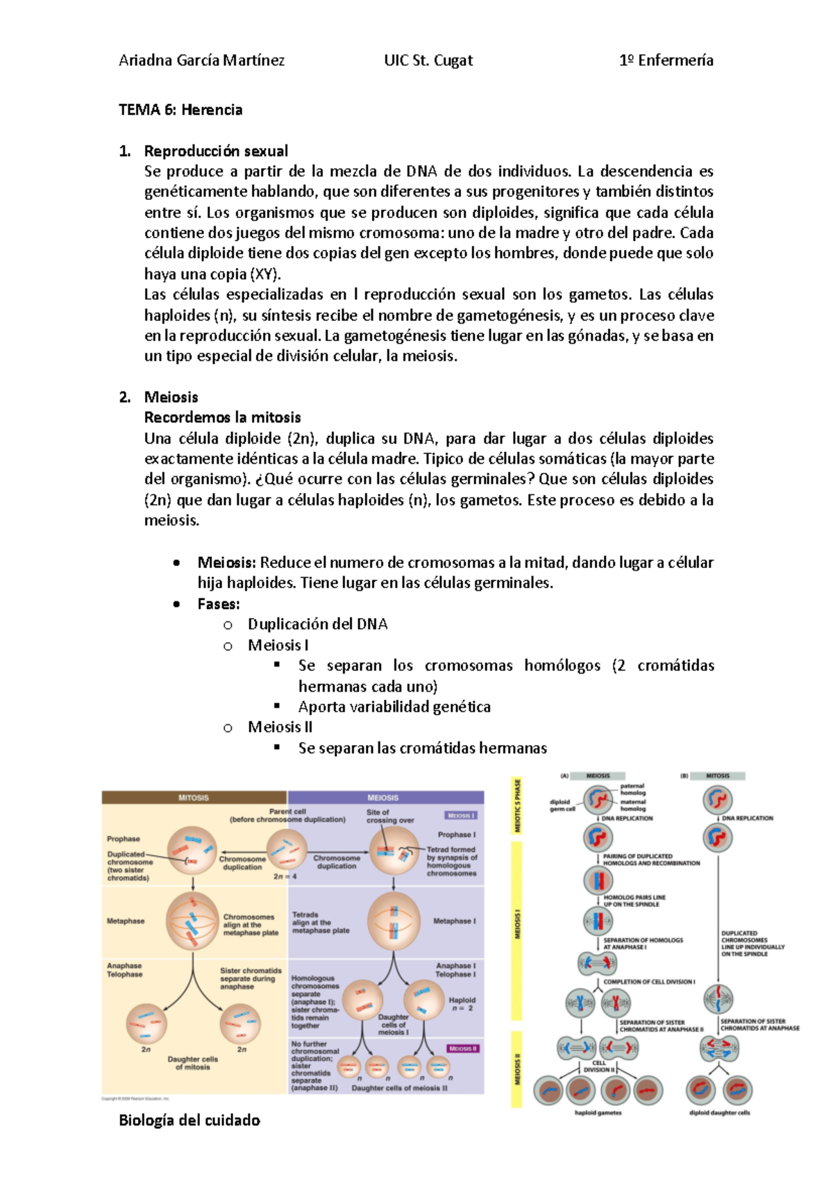 Herencia - Resumen Biologia Molecular - Warning: TT: undefined function: 32 TEMA 6: Herencia ...