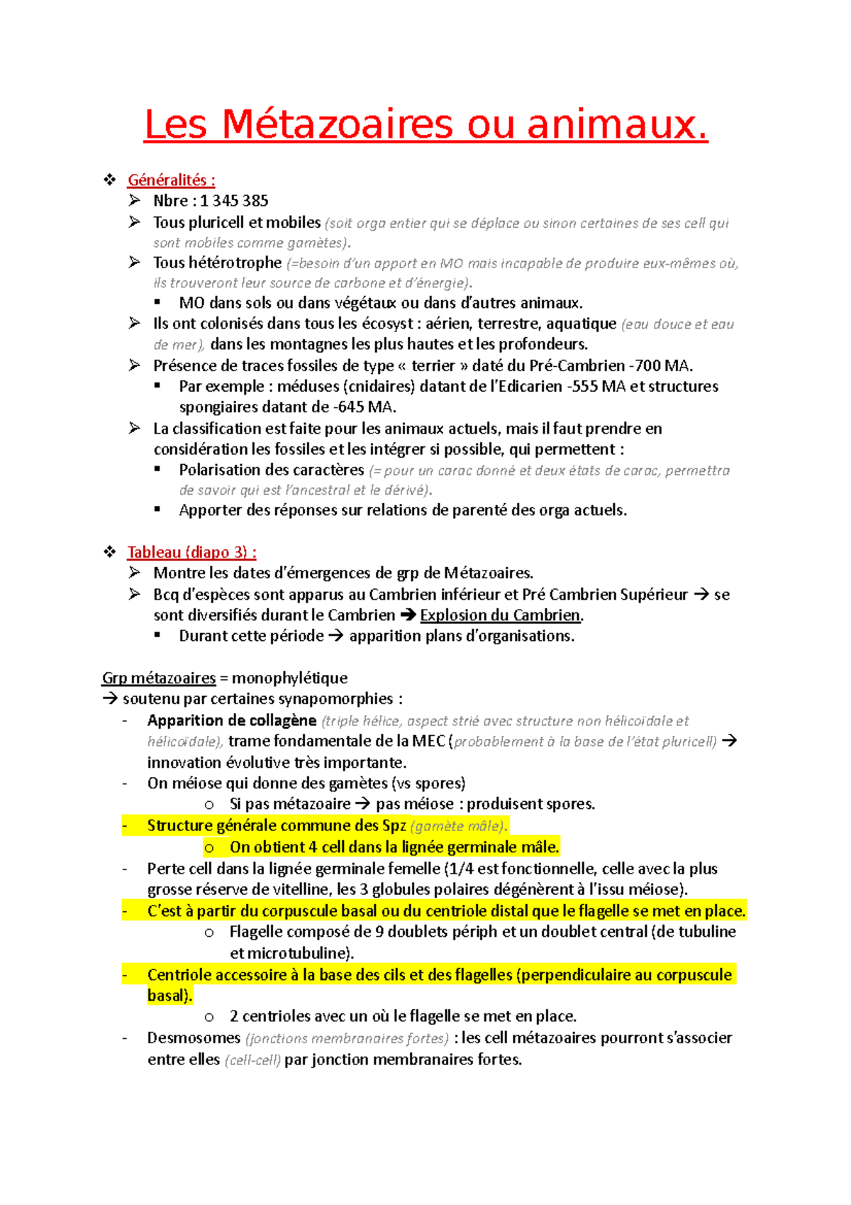 Métazoaires - Cours métazoaires - Les Métazoaires ou animaux ...