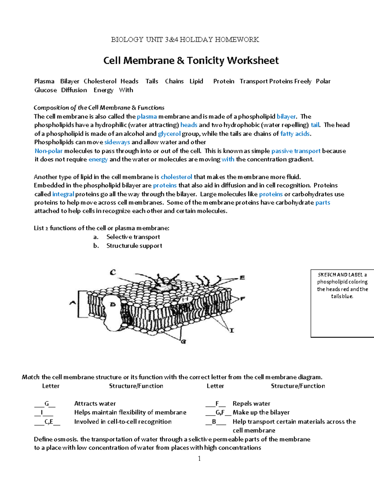 Bio holiday homework - 1 BIOLOGY UNIT 3&4 HOLIDAY HOMEWORK Cell ...