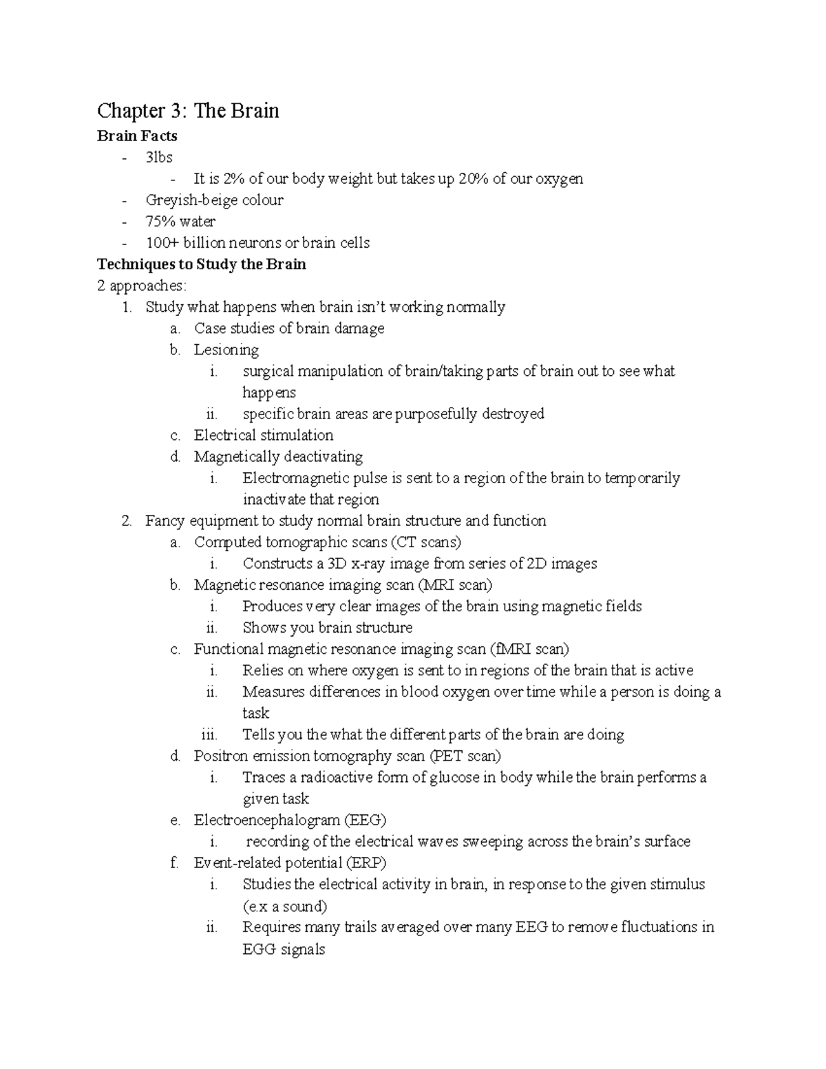 Chapter 3 The Brain - Notes are taken from Anneke's slides and the ...