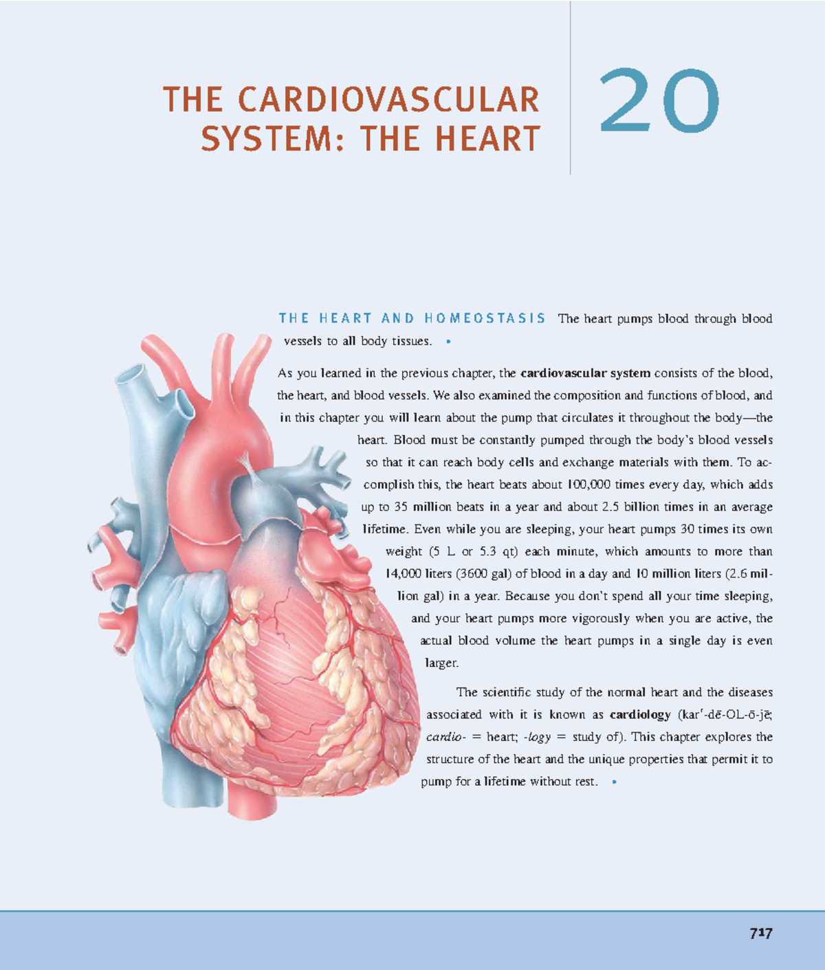 Cardiovascular system - We also examined the composition and functions ...
