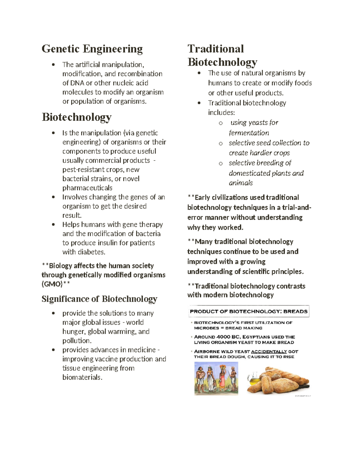 Biotechnology Notes - biology 2 - Genetic Engineering The artificial ...