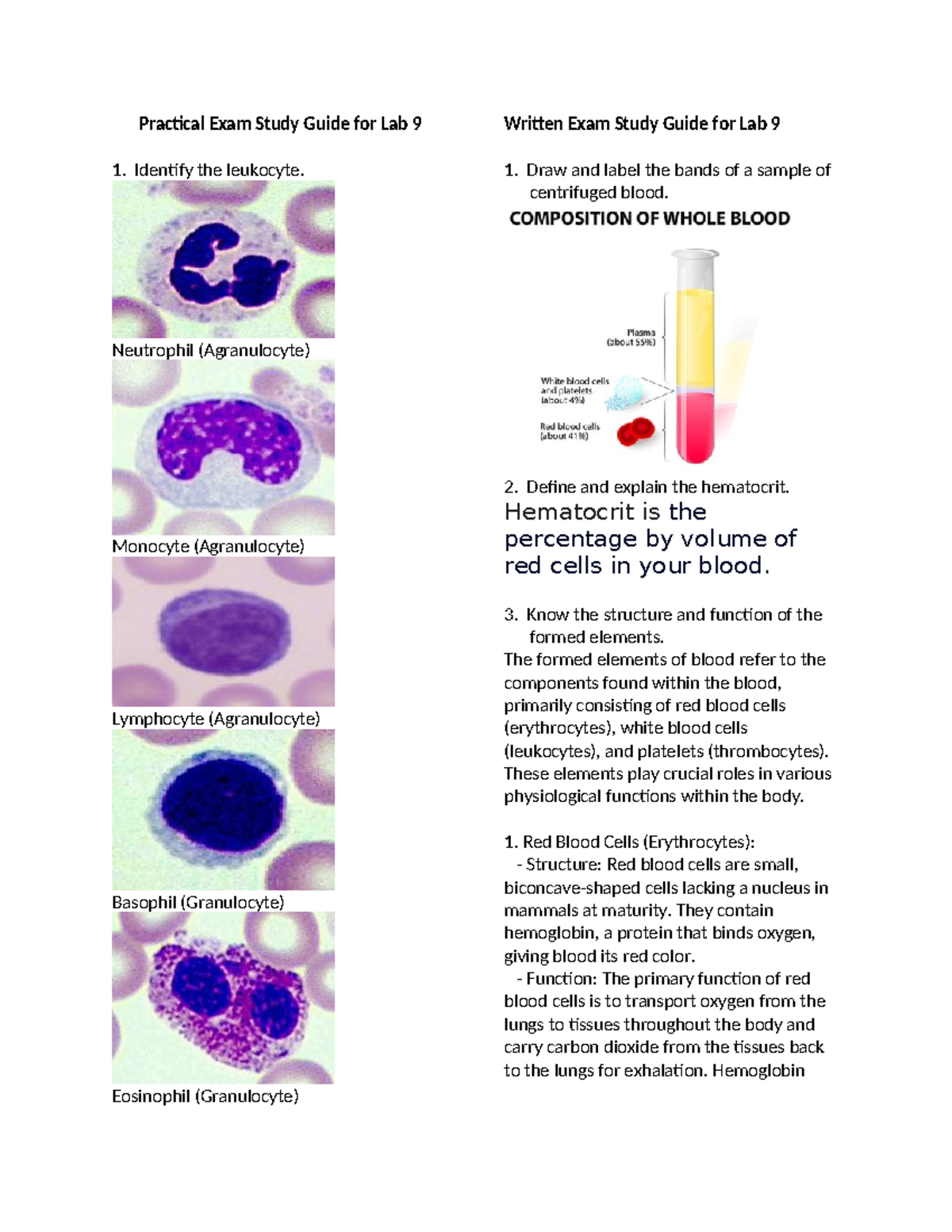 Lab 9 - Laboratory notes for the final exam - Practical Exam Study ...