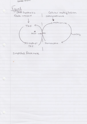 AQ10-Test - adf df adf adf af adf adf adf af - A quick referral guide ...