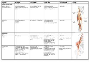 Anatomie toets 1 - anatomische houding, craniaal/superior: richting het ...